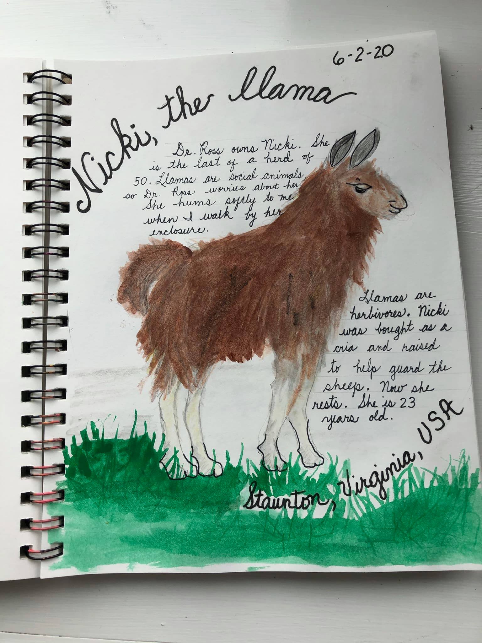 sings together – The Family That Creates Together…